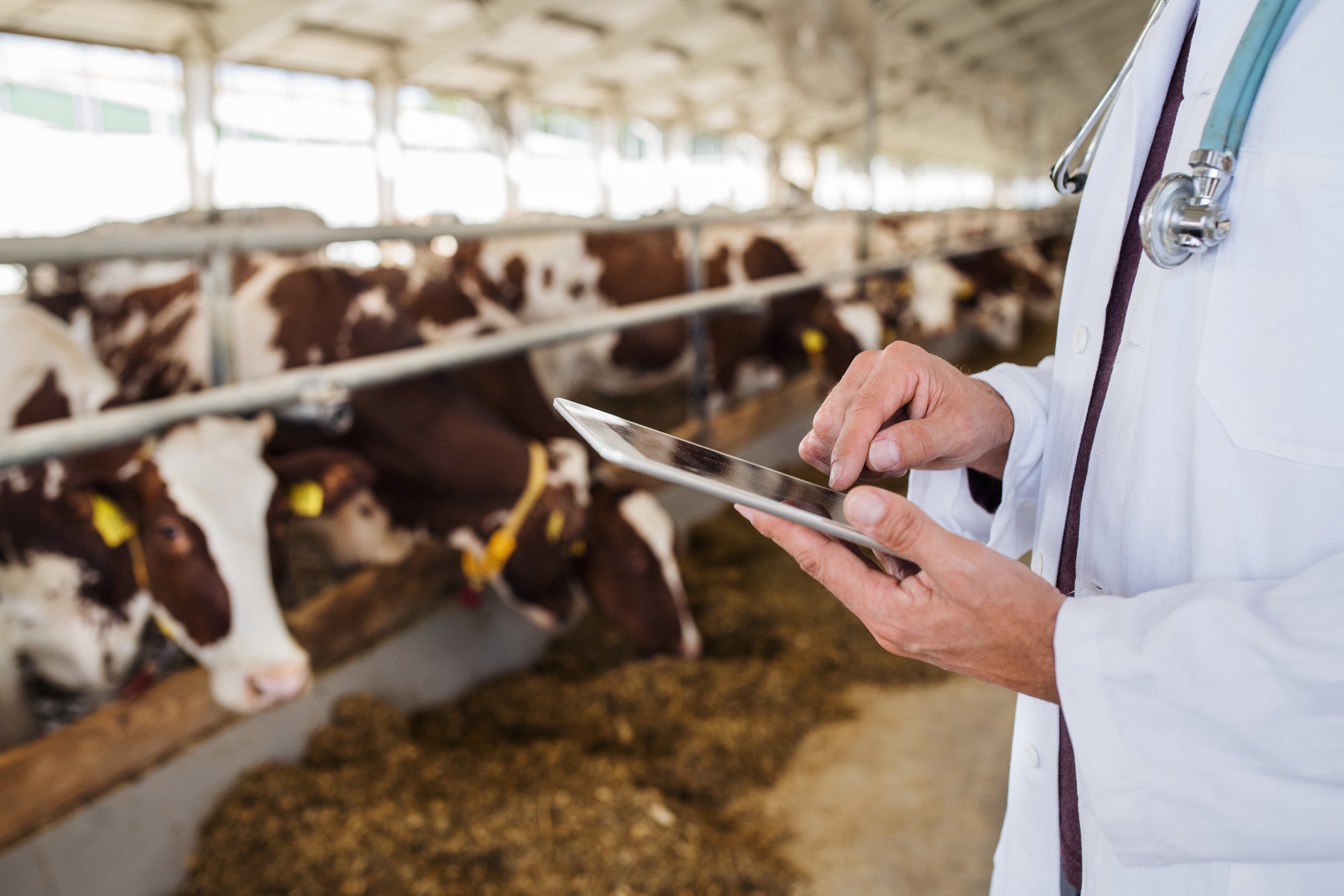 Precision livestock farming: digital tools every practitioner should know